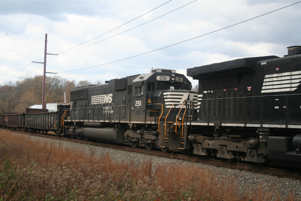 NS 61Z